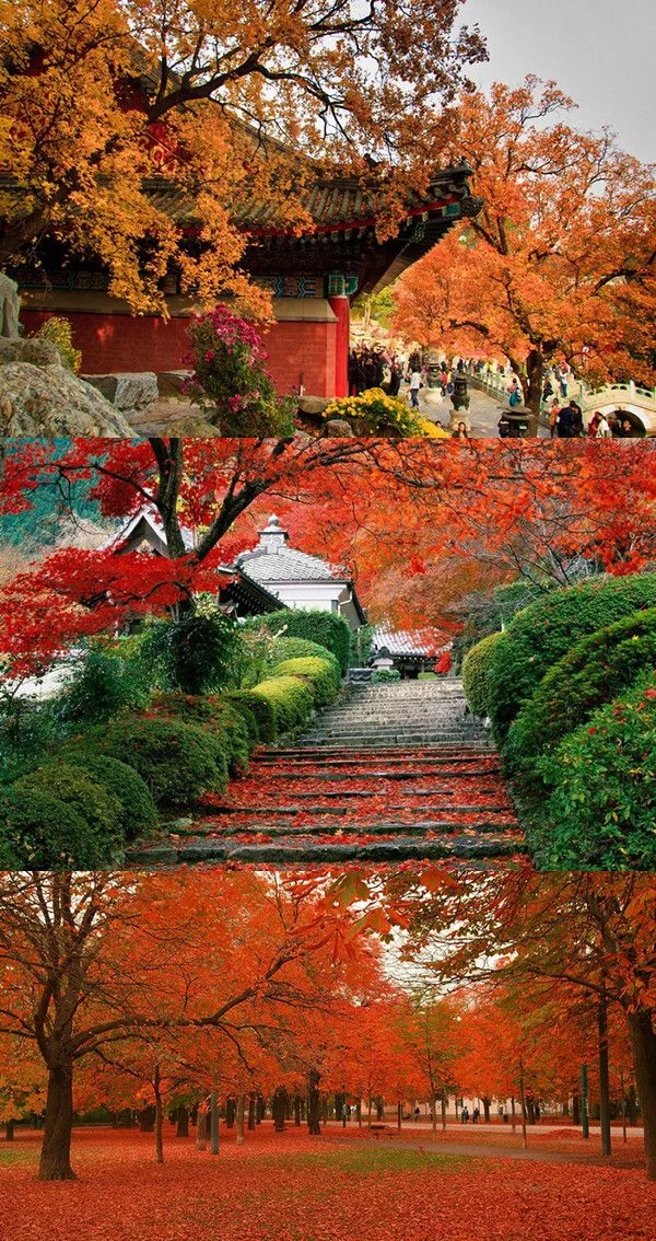 Fragrant Hills | Lady Lin's First-ever Journey to Immortality Wiki | Fandom