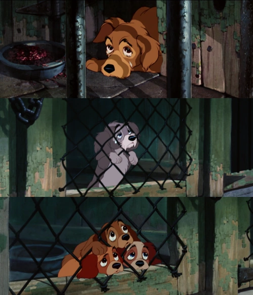 Pound Dogs | Lady And The Tramp Wiki | Fandom