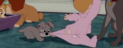 Scamp | Lady And The Tramp Wiki | Fandom