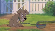 Scamp | Lady And The Tramp Wiki | Fandom