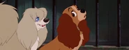 Pound Dogs | Lady And The Tramp Wiki | Fandom