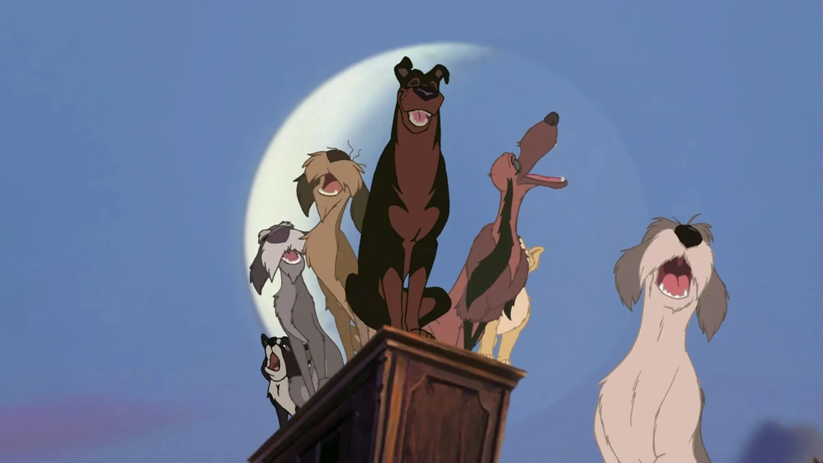 Junkyard Society Rag | Lady And The Tramp Wiki | Fandom