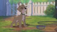 Scamp | Lady And The Tramp Wiki | Fandom