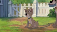 Scamp | Lady And The Tramp Wiki | Fandom
