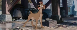 Tramp | Lady And The Tramp Wiki | Fandom