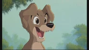 Scamp | Lady And The Tramp Wiki | Fandom