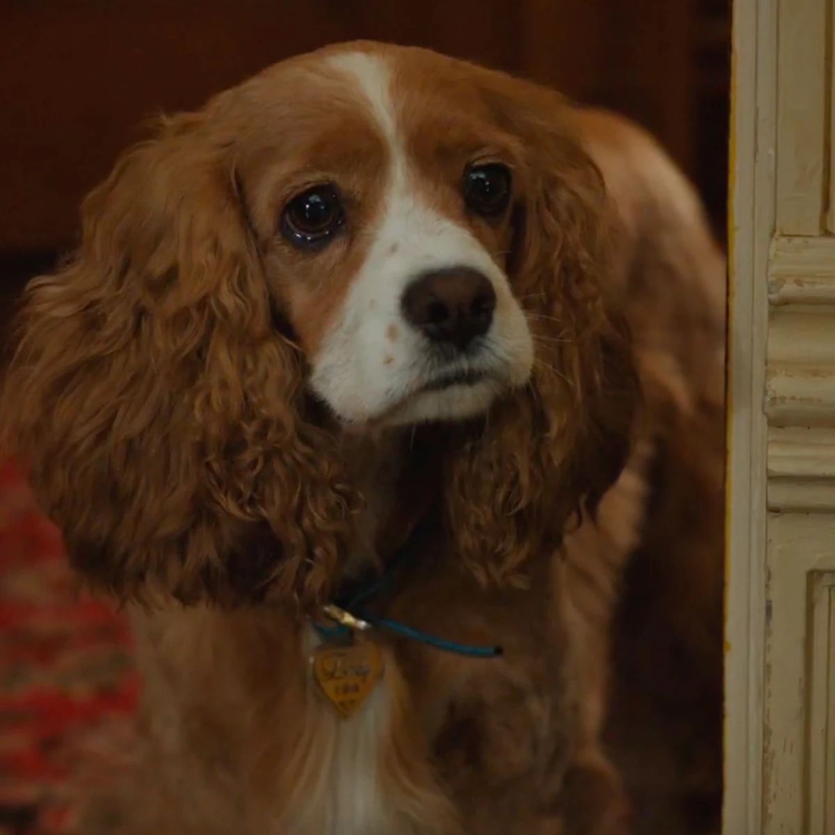 Lady (2019 film) | Lady And The Tramp Wiki | Fandom