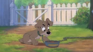 Scamp | Lady And The Tramp Wiki | Fandom