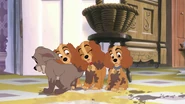 Scamp | Lady And The Tramp Wiki | Fandom