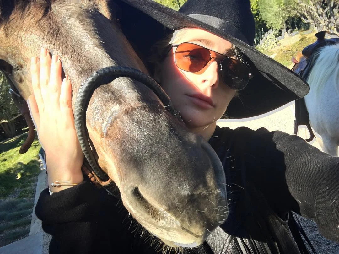 Trigger (horse) | Gagapedia | Fandom