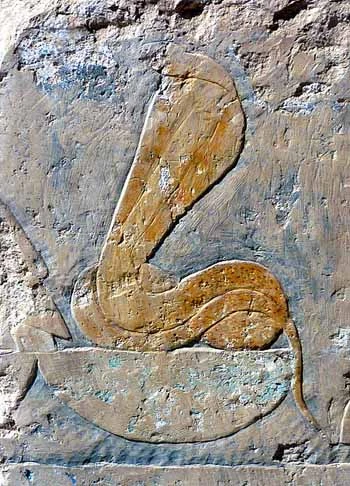 Wadjet | Lady of the Library Wiki | Fandom