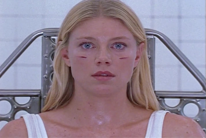 Cat and Mouse | Nikita Wiki | Fandom