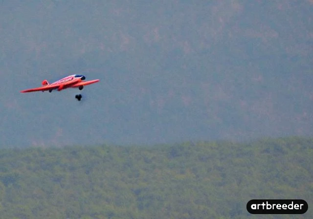 Wild Flight | Lailie Wiki | Fandom