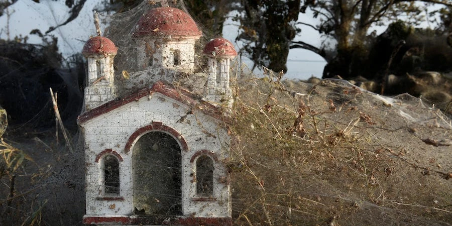 Spider Town | Lailie Wiki | Fandom