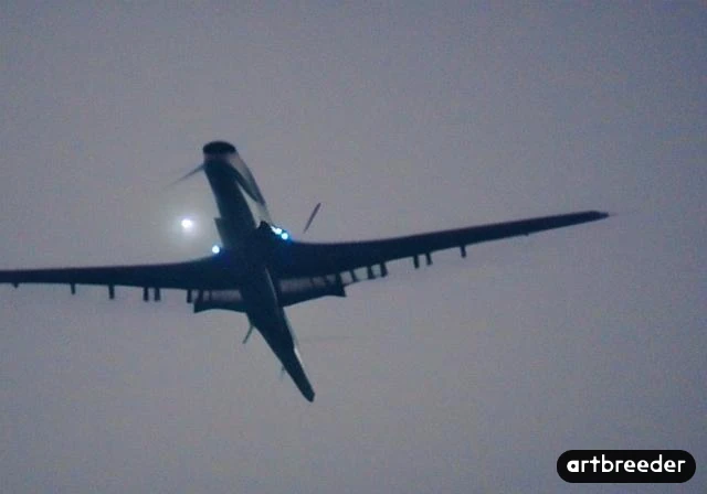 Night Flight | Lailie Wiki | Fandom
