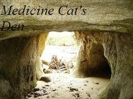 Medicine Cat's Den | LakeClan Roleplaying Wiki | Fandom