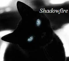 Shadowfire | LakeClan Roleplaying Wiki | Fandom