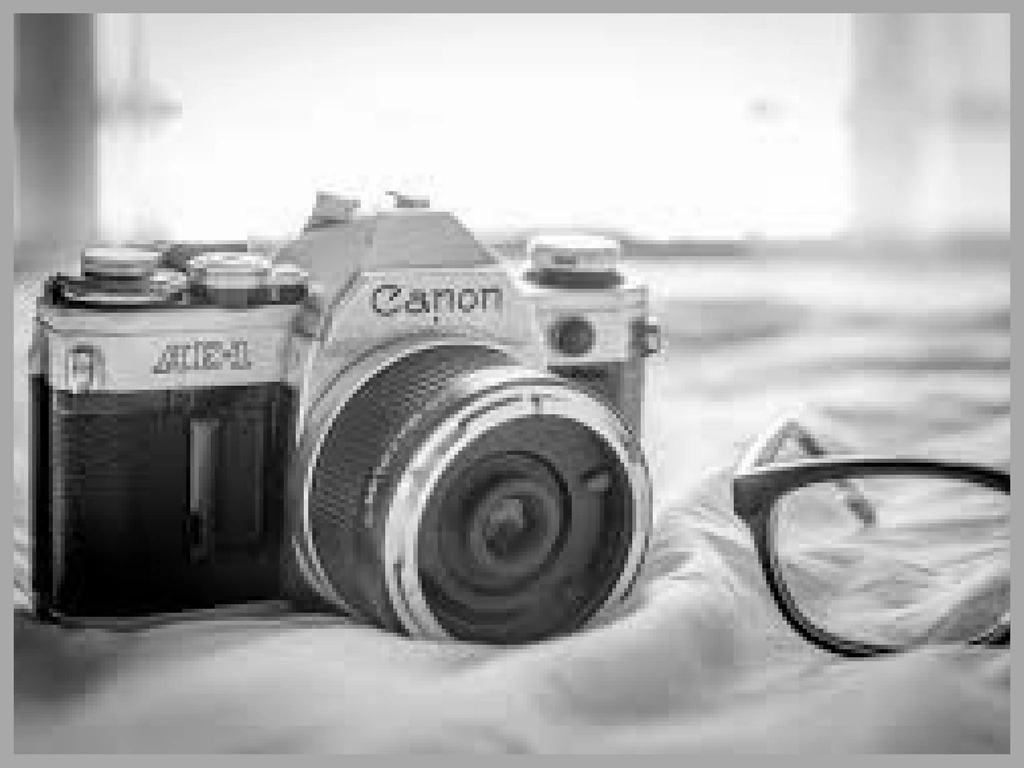 Sebastian Todd | Lakewood Academy Highschool Wiki | Fandom