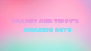 Peanut and Tippy's Amazing Acts | Lalaloopsy Show Wiki | Fandom