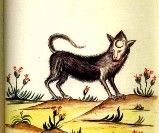 Carbunclo | Wikia Mitología Chilena | Fandom