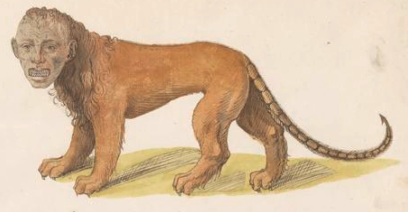 Mantícora | Wiki Mitología Griega | Fandom
