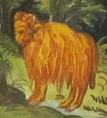 Crisómalo | Wiki Mitología Griega | Fandom