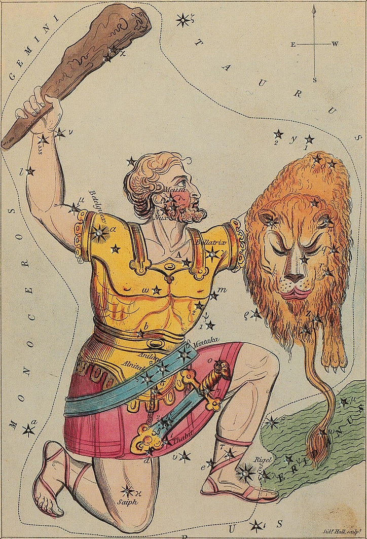 Orión | Wiki Mitología Griega | Fandom