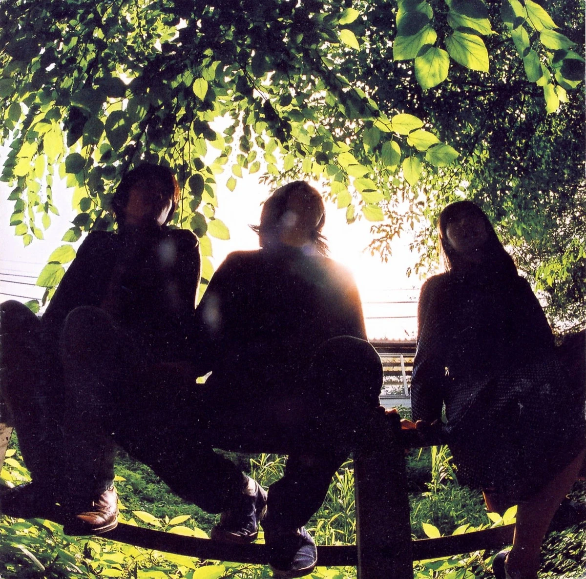 Night Wind | Lamp Wiki | Fandom