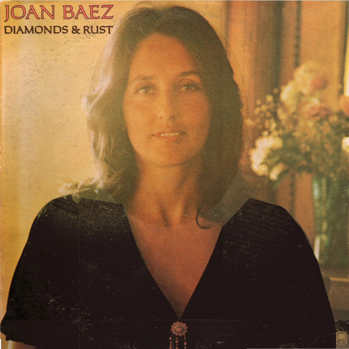 Diamonds & Rust (song) | Lana Del Rey Wiki | Fandom