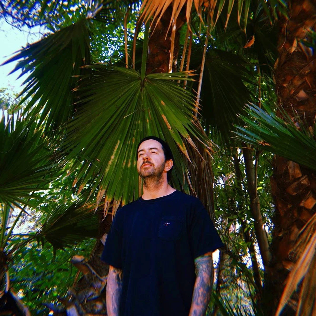 Tim Anderson | Lana Del Rey Wiki | Fandom