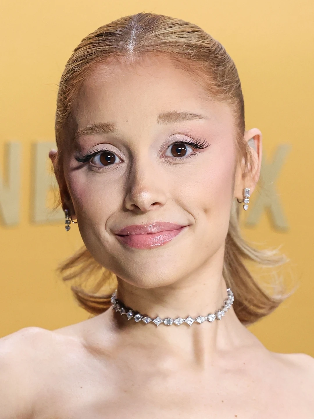 Ariana Grande | Lana Del Rey Wiki | Fandom