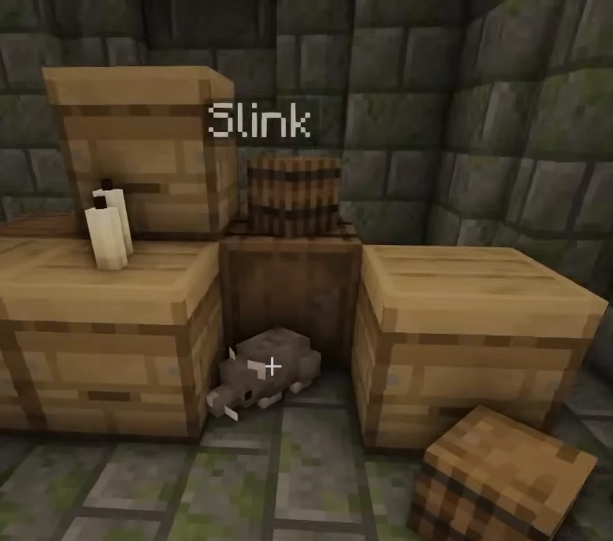 Slink | Land of Misadventures Wiki | Fandom