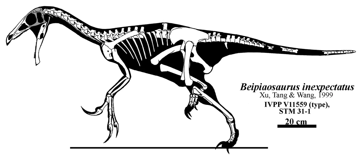 Beipiaosaurus | Land Before Time Wiki | Fandom