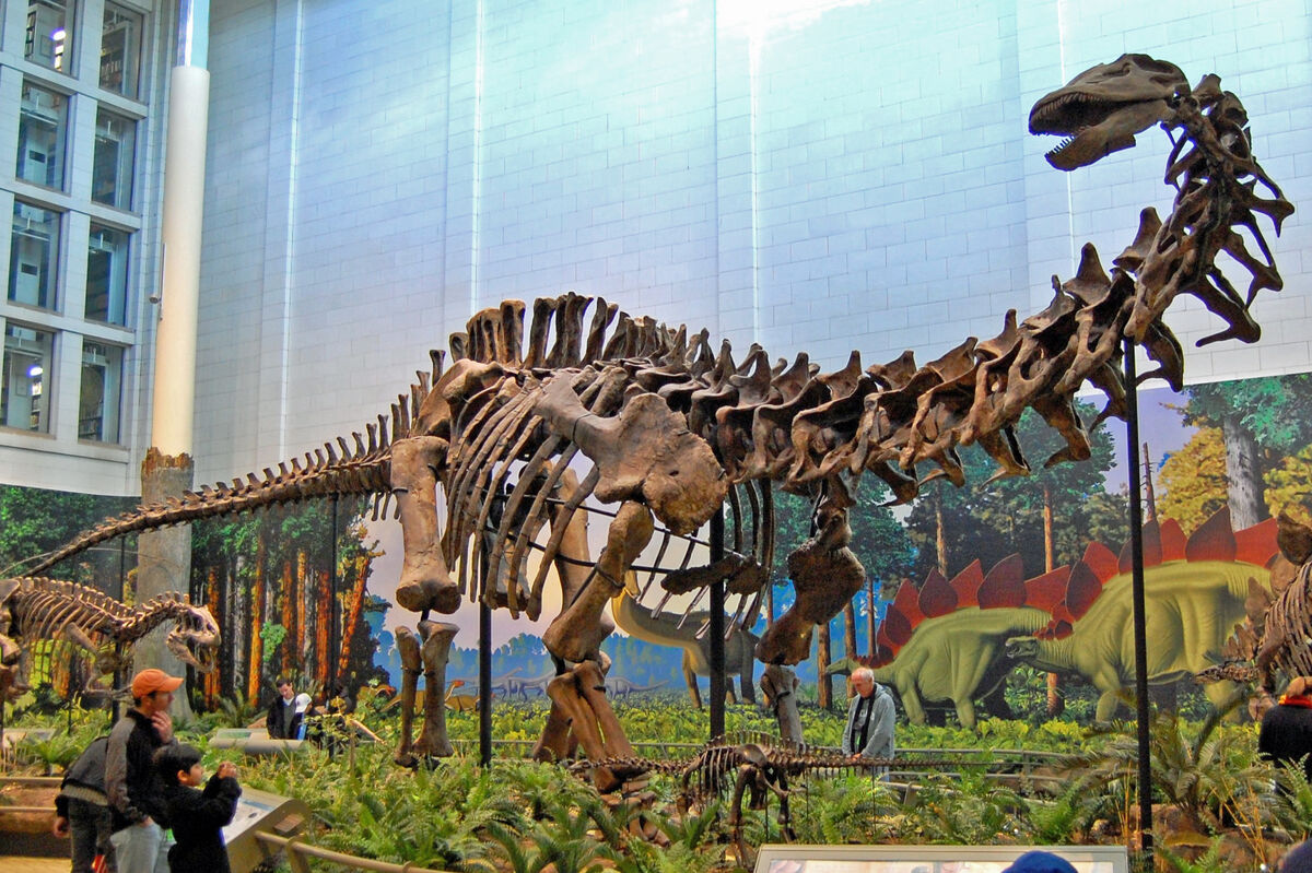 Apatosaurus Land Before Time Wiki Fandom