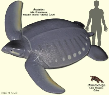 Category:Turtles | Land Before Time Wiki | Fandom