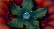 Tree Star | Land Before Time Wiki | Fandom