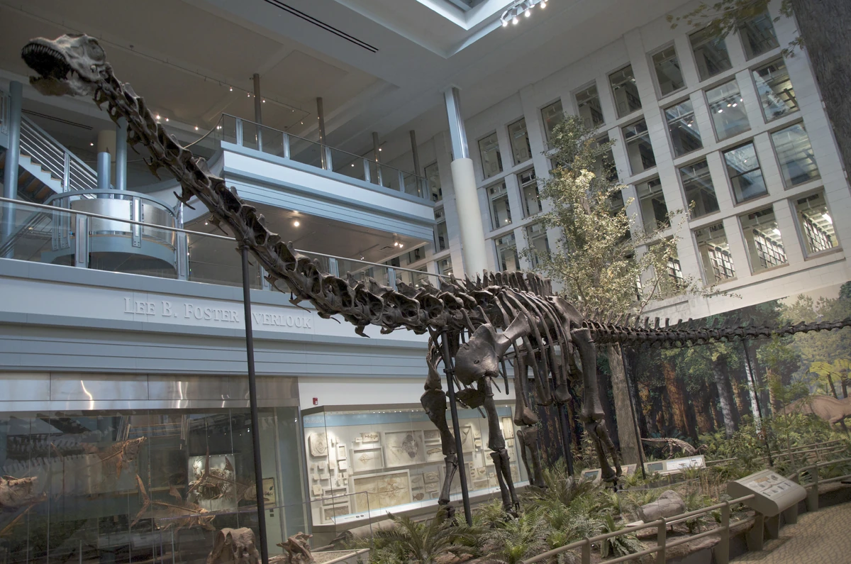 Category:Land Before Time VI: The Secret of Saurus Rock introductions ...