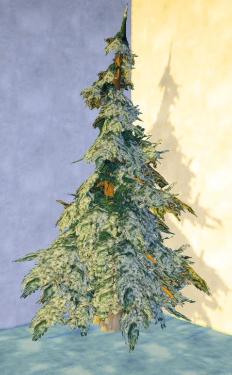 Tundra Fir 2 | Landmark Wiki | Fandom