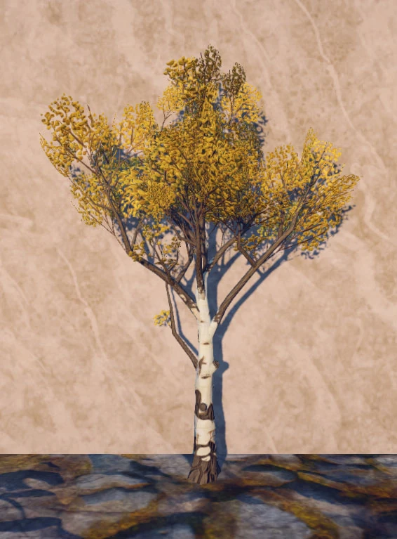Deciduous Birch Tree (Medium) 6 | Landmark Wiki | Fandom