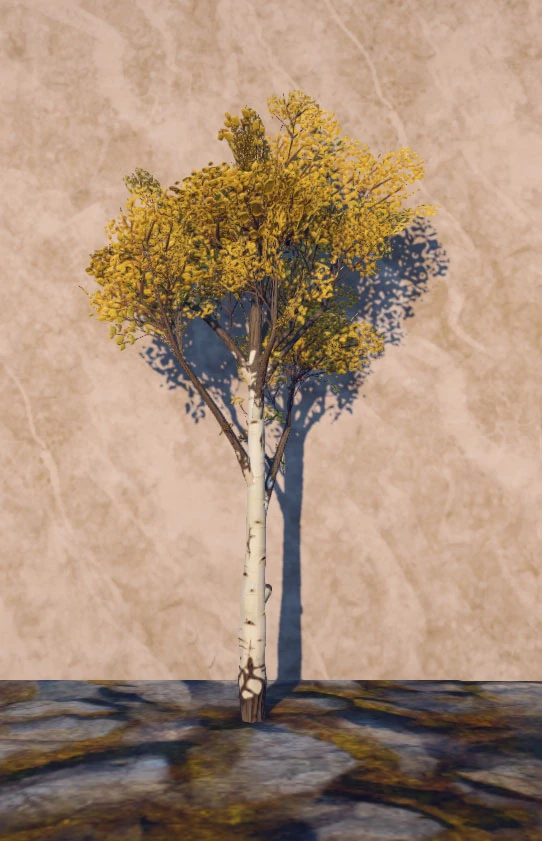 Deciduous Birch Tree (Medium) 2 | Landmark Wiki | Fandom