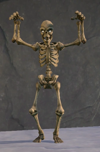 Jump Scare Skeleton | Landmark Wiki | Fandom