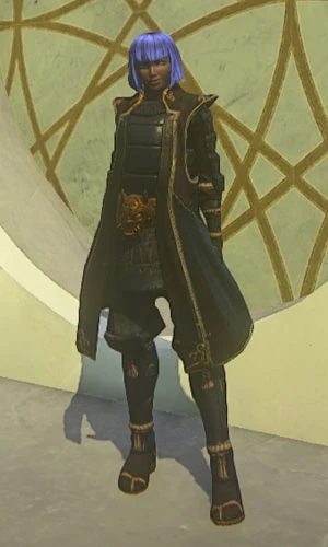 Ronin's Reinforced Coat (Colors) | Landmark Wiki | Fandom