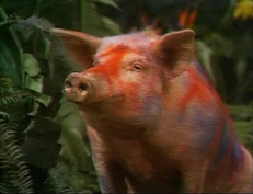 Altrusian Pig | Land of the Lost Wiki | Fandom