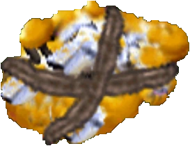 Life Leech | Lands of Lore Wiki | Fandom