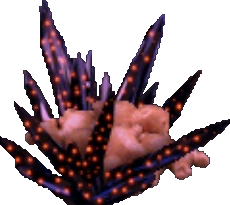 Pyra Pod (III) | Lands of Lore Wiki | Fandom