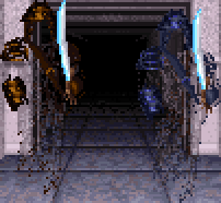 Wraiths | Lands of Lore Wiki | Fandom