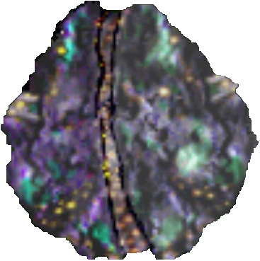 Acid Sac (III) | Lands of Lore Wiki | Fandom