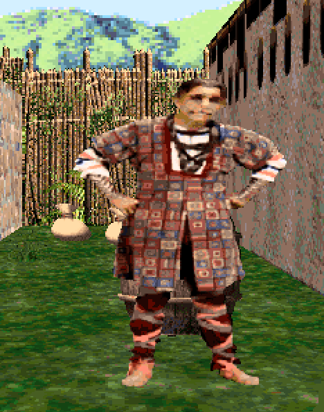 Villager | Lands of Lore Wiki | Fandom