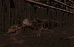 Skeletal Rats (Guardians of Destiny) | Lands of Lore Wiki | Fandom