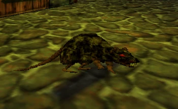 Rats | Lands of Lore Wiki | Fandom